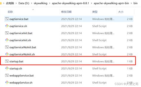 Springboot集成skywalking分布式服务调用链路追踪skywalking Springboot Csdn博客