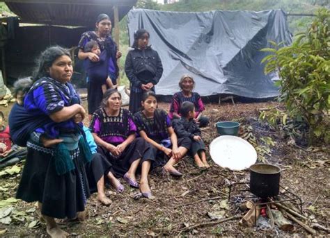 Desplazamiento Forzado En Chiapas Historia Que Se Repite Desde Hace 45