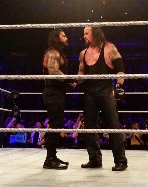Madison Square Garden Live Event Wwe Fasci Garden