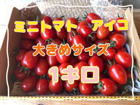 北海道産 ミニトマト アイコ 大きめサイズのアイコ 宅急便コンパクト 1キロ メルカリ