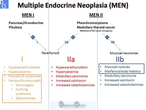 Multiple Endocrine Neoplasia Type 1 And 2 Chart 2025 Multiplication