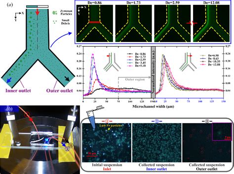 Figure 1 From High Throughput Inertial Particle Focusing In A Curved