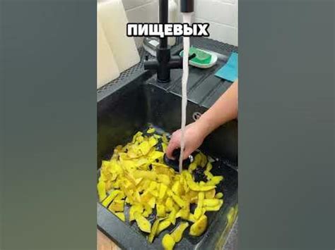 Почему стоит купить измельчитель пищевых отходов под раковину? - YouTube