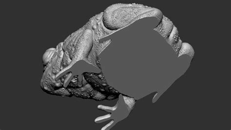 3d File Frog Stl Rpg Miniature 🐸・3d Printable Model To Download・cults