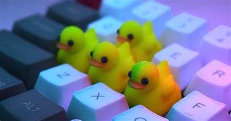 Duck Keycaps Supporter Edition By Markury Printables Store