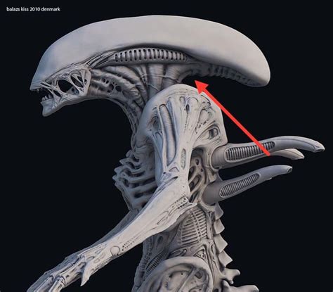 Today I Feel Like A Xenomorph Alien Movie Franchise Huge Traps And