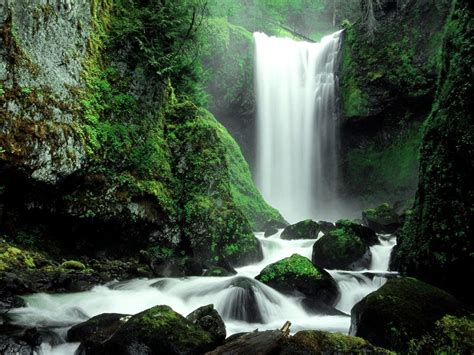 Naturaleza