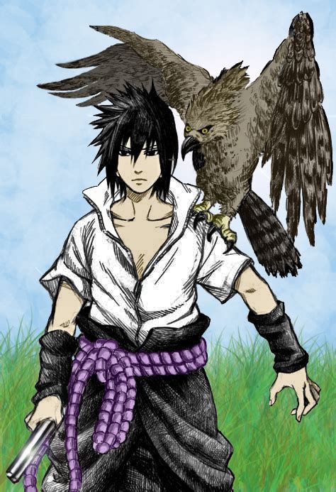 Sasuke Hawk By Amehikari8 On Deviantart