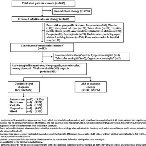 Temporal Profile Of All Acute Encephalitis Syndrome Cases N 183