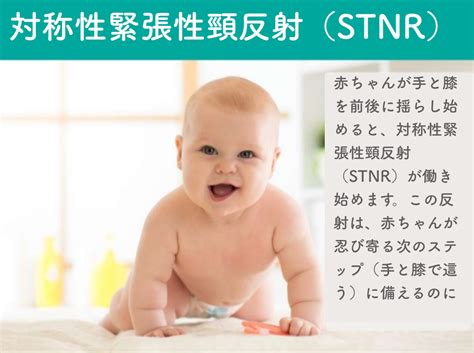 対称性緊張性頸反射STNR 株式会社アイノテドットリンク