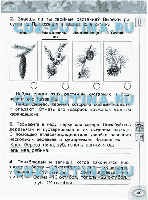ГДЗ по окружающему миру 2 класс рабочая тетрадь Плешаков, Новицкая