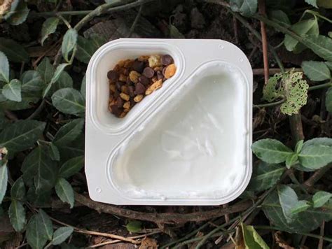 Chobani Flip Smore Smores Yogurt Review Smore Scout