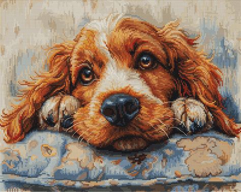 Counted Cross Stitch Kit Luca S Cocker Spaniel Bu5058