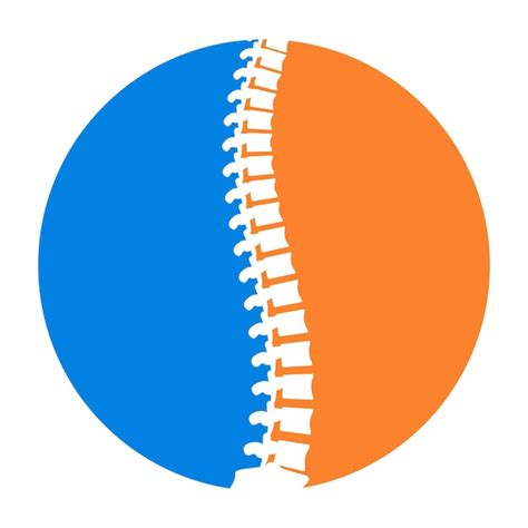 Vector Del ícono De La Columna Vertebral Vector Premium