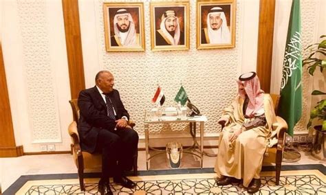 سامح شكري يشارك في اجتماع لجنة المتابعة والتشاور المصرية السعودية الأسبوع