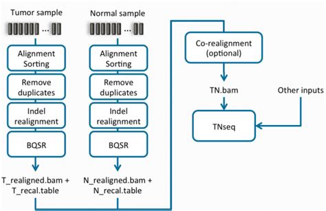 Somatic Variant Calling With Sentieon The Golden Helix Blog