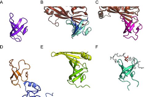 Comparison Of Tudor Like Domains And Their Interactions With Partner