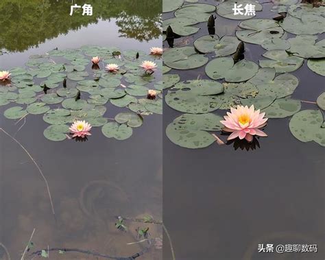 外觀性能兩開花：性價比新貴，聯想z5s上手體驗 每日頭條