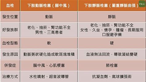 下肢靜脈栓塞、動脈栓塞都是塞，到底有什麼不一樣？ Heho健康 Line Today