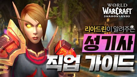 어둠땅 리아드린이 알려주는 성기사 직업 가이드 월드 오브 워크래프트 YouTube