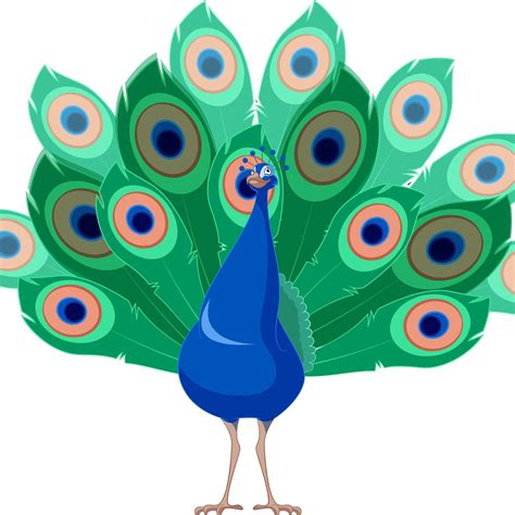 Peacock Production Services