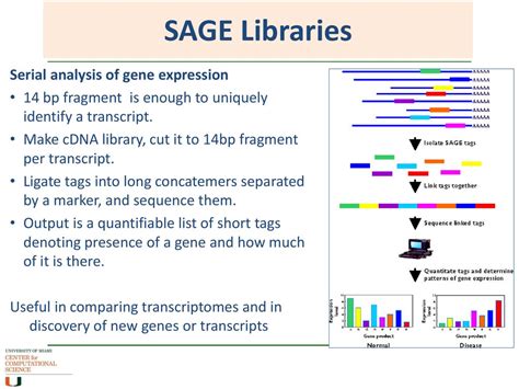 gene expression in that cell at that time ppt download