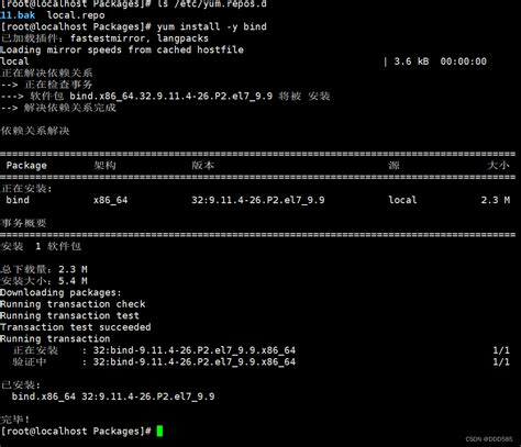 Linux的dns域名解析服务linux域名解析 Csdn博客