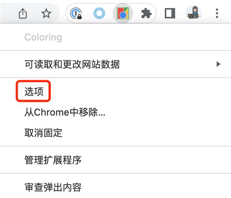 Chrome插件开发入门教程 Chrome插件开发