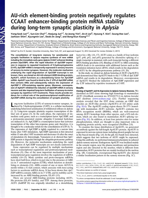 Pdf Au Rich Element Binding Protein Negatively Regulates Ccaat