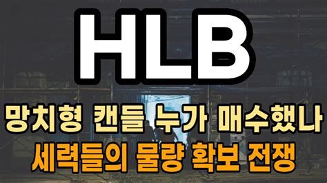 주식 Hlb 망치형 캔들 누가 매수했나 세력들의 물량 확보 전쟁 Youtube