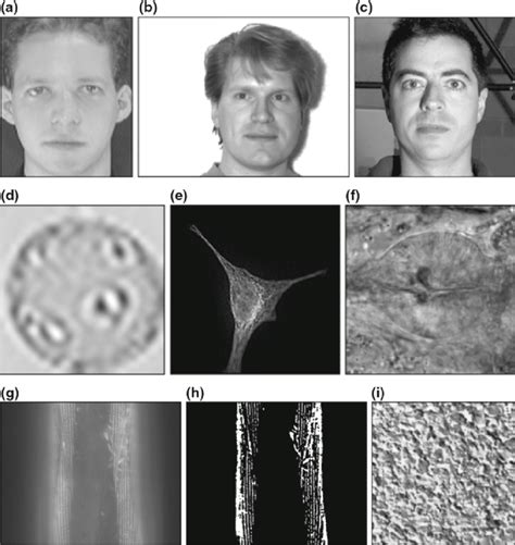 Representative Images From The Benchmark Data Set Used In This Work A Download Scientific