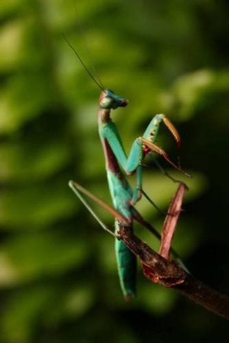 Rob Hulme Potteries Photography Club