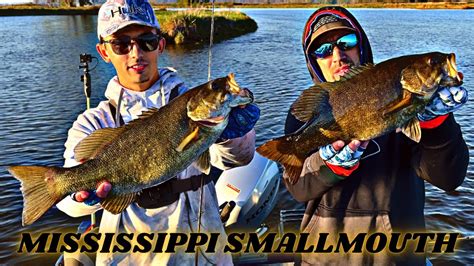 Big Fall Smallmouth And Walleyes Mississippi River Fishing Ft