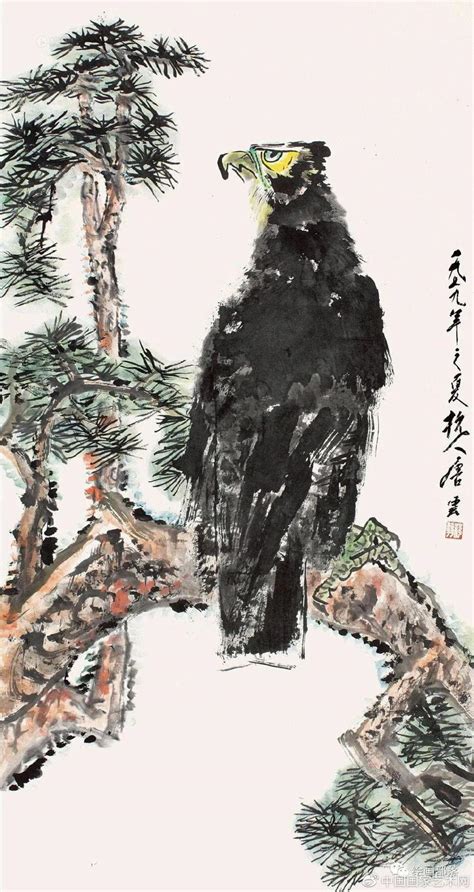 近现代画鹰大家作品汇总李苦禅、黄胄、徐悲鸿、朱祖国、关山月财经头条