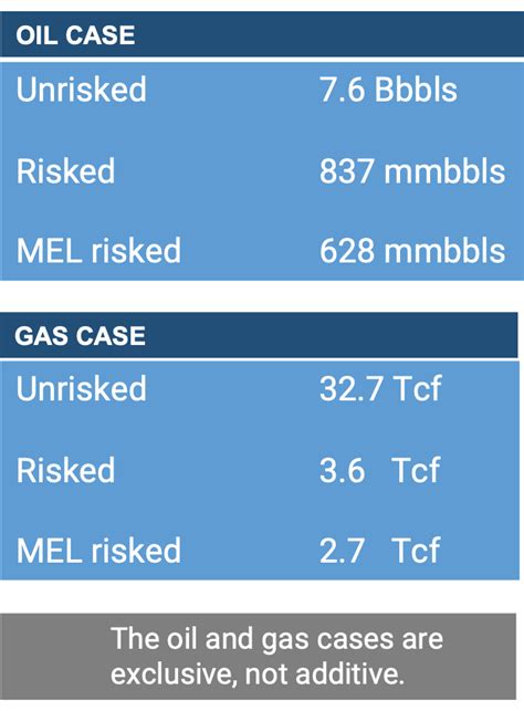 Revealing Insights Initial Findings From The 2d Seismic Test Uncover