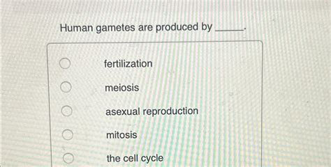 Solved Human Gametes Are Produced