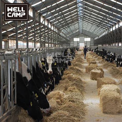 Dairy Farm Design
