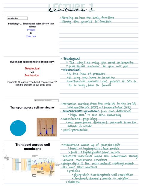 Chapter Lecture Notes Exam 1 Physio Lecture 1 Focusing On