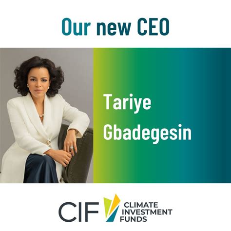 Barbara Buchner On Linkedin Climate Investment Funds On Linkedin