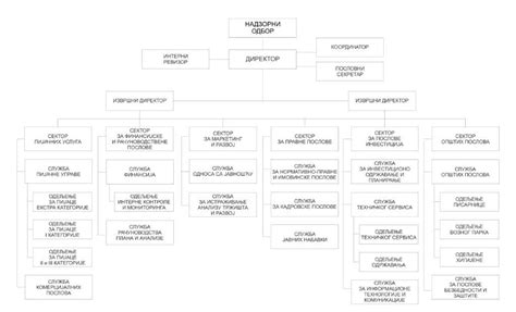 ОРГАНИЗАЦИОНА СТРУКТУРА