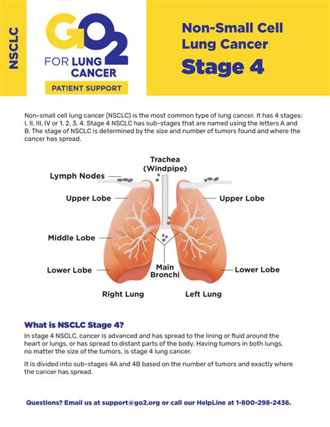 Stage 4 Non Small Cell Lung Cancer Go2 For Lung Cancer
