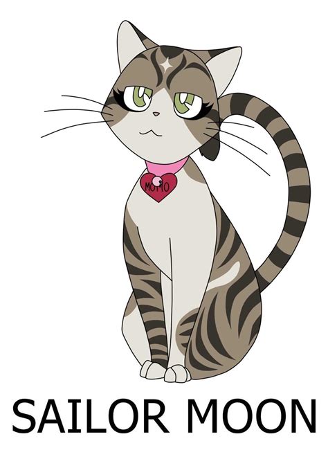 Momo Through The Multiverse Sailor Moon By Conniecentry On Deviantart