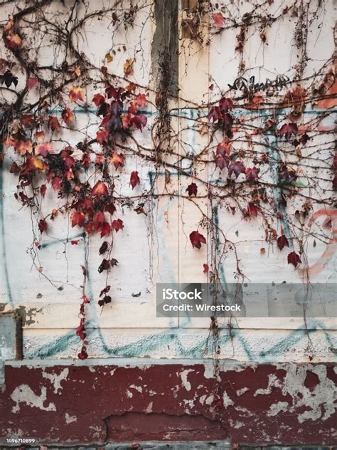 Bangunan Perkotaan Dengan Fasad Batu Bata Dan Mortir Dengan Beberapa