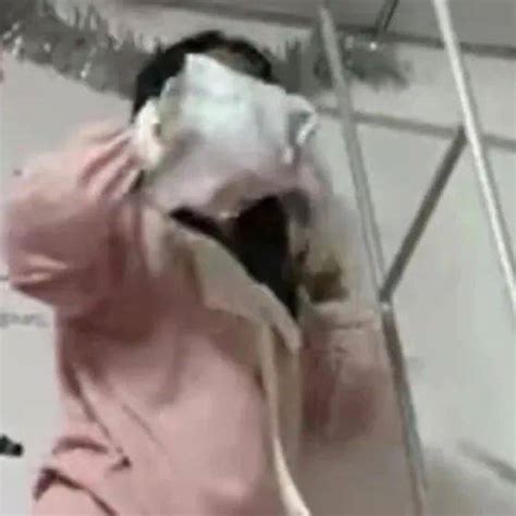 安阳丨惊呆！女生宿舍突然飞进“不明生物”，小姐姐的动作让人傻眼了！东西