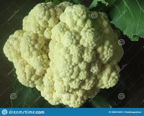 Verse Bloemkool Stock Foto Image Of Januari Dessert 206818492