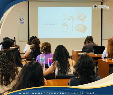 Materiales Educativos Gratis Cuaderno De Lectura Y Escritura 60