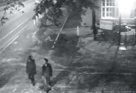 Cat Killer Jailed For Life For Murdering Man As Part Of A Sexual