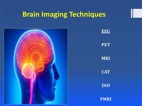 Techniques In Measuring Brain Function Pptx