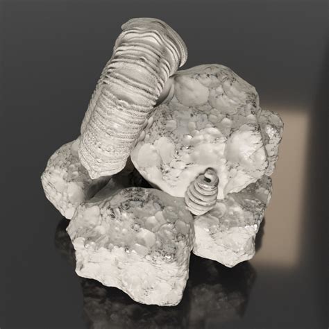 Sea Fossil 3d Model Turbosquid 1378430
