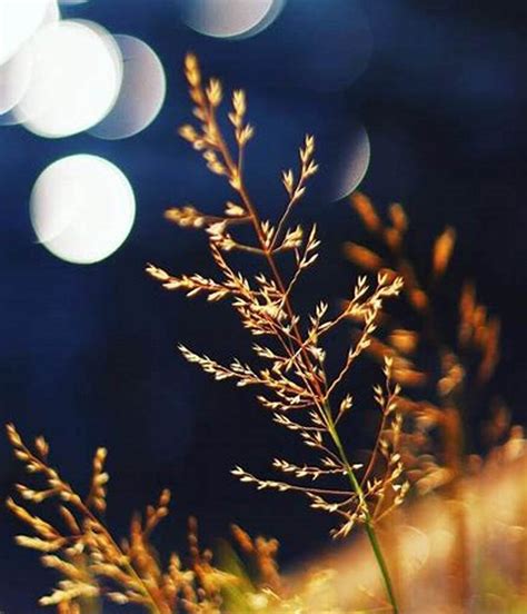 دعای دفع سحر مجرب دفع سحر با دعای امیرالمومنین دعایاب